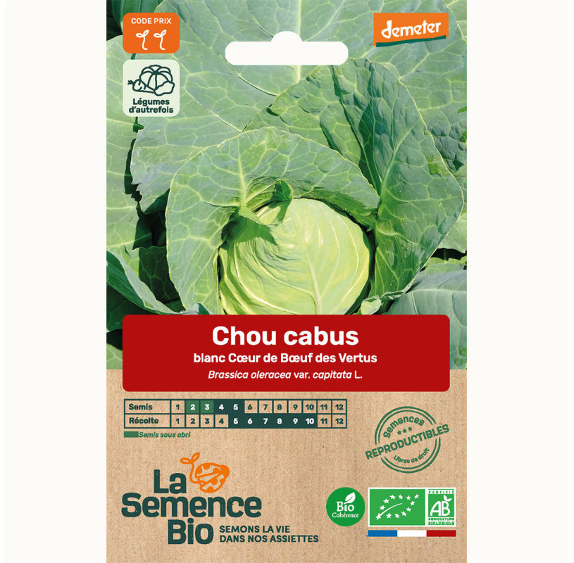 CHOUX - Graines Bio, Reproductibles