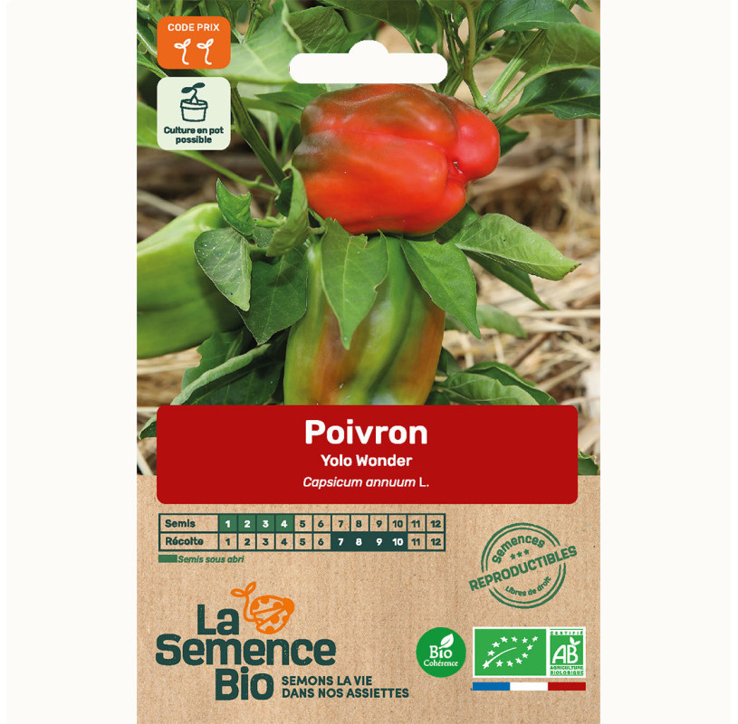 POIVRON - Graines Bio, Reproductibles