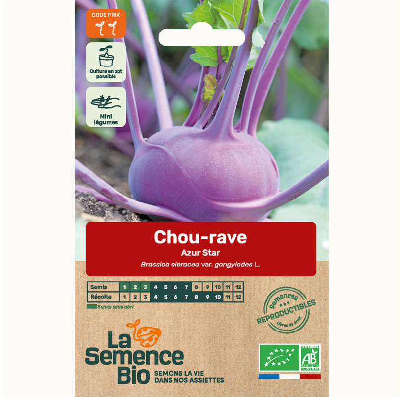 CHOUX - Graines Bio, Reproductibles