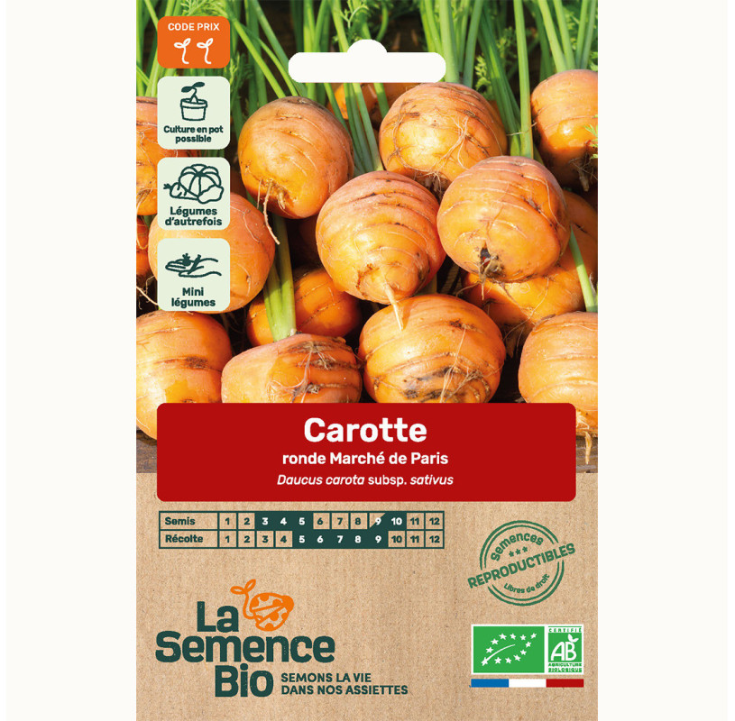 CAROTTE - Graines Bio, Reproductibles