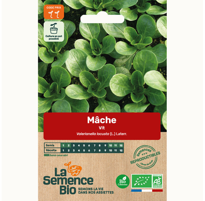 MÂCHE Vit - Graines Bio, Reproductibles