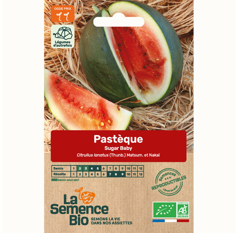 PASTÈQUE Sugar Baby - Graines Bio, Reproductibles