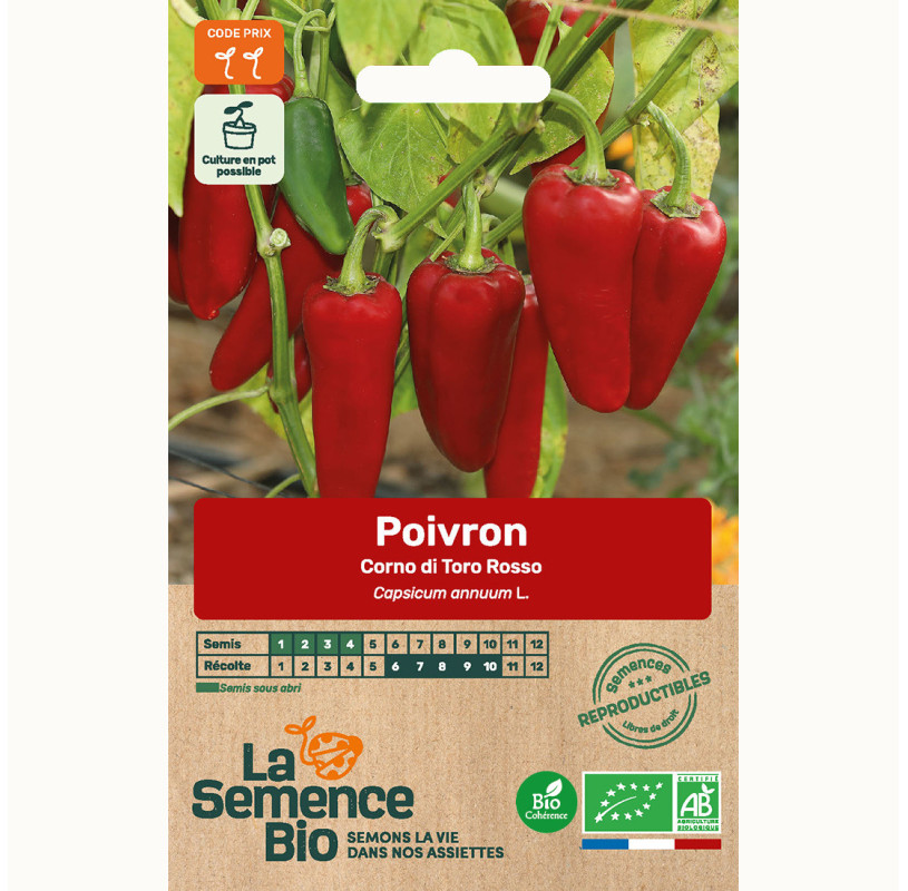 POIVRON - Graines Bio, Reproductibles