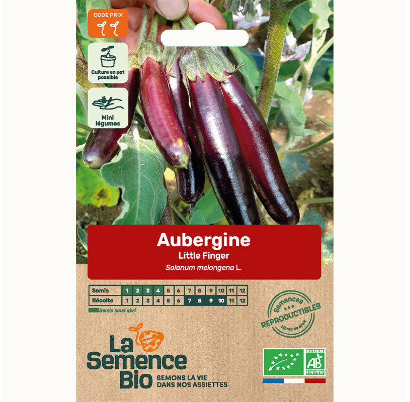 Graines de semences potagères 100% Bio et Reproductibles - Graines Bio ...