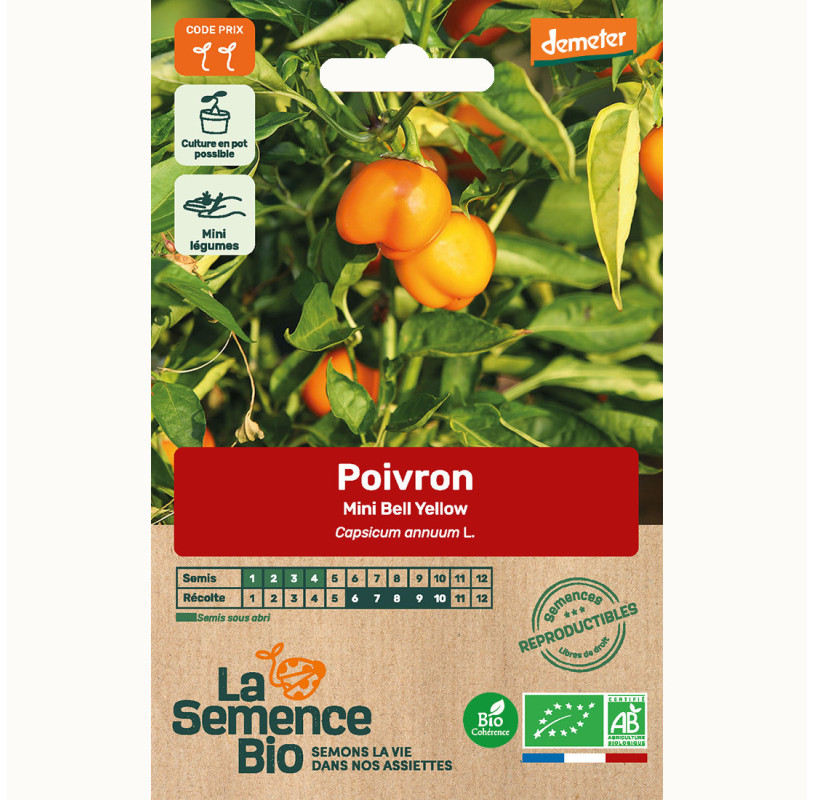 POIVRON - Graines Bio, Reproductibles