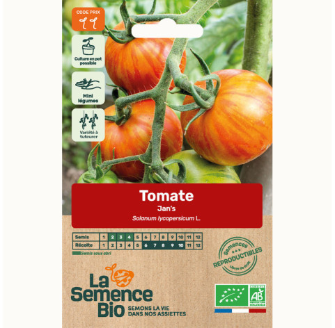TOMATE Jan's - Graines Bio, Reproductibles