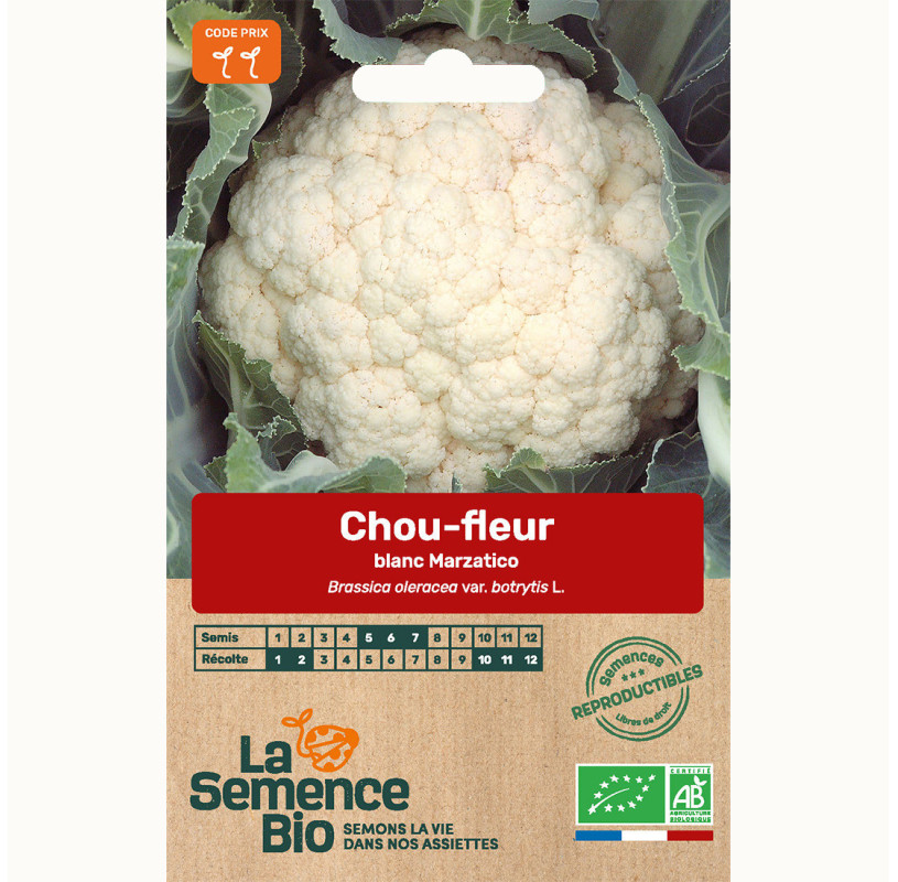 CHOUX - Graines Bio, Reproductibles