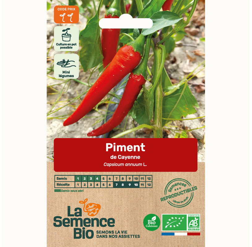 PIMENT de Cayenne - Graines Bio, Reproductibles