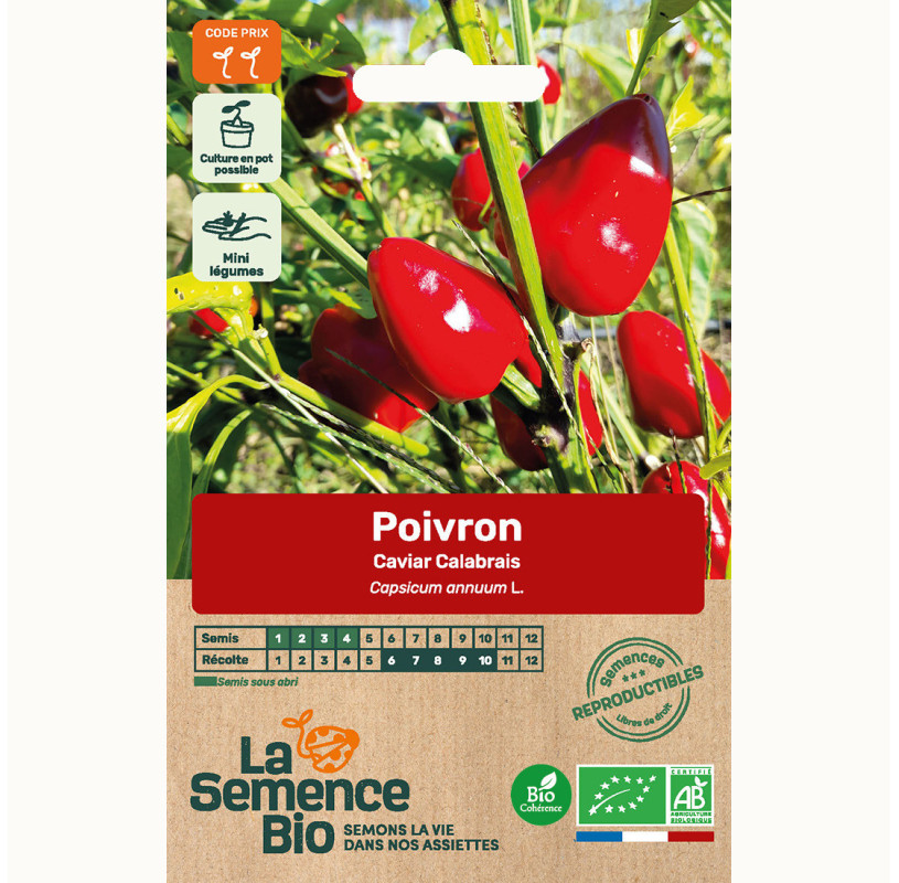 POIVRON - Graines Bio, Reproductibles