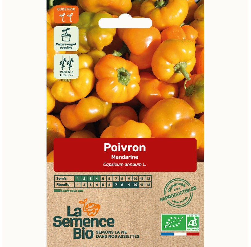 POIVRON - Graines Bio, Reproductibles