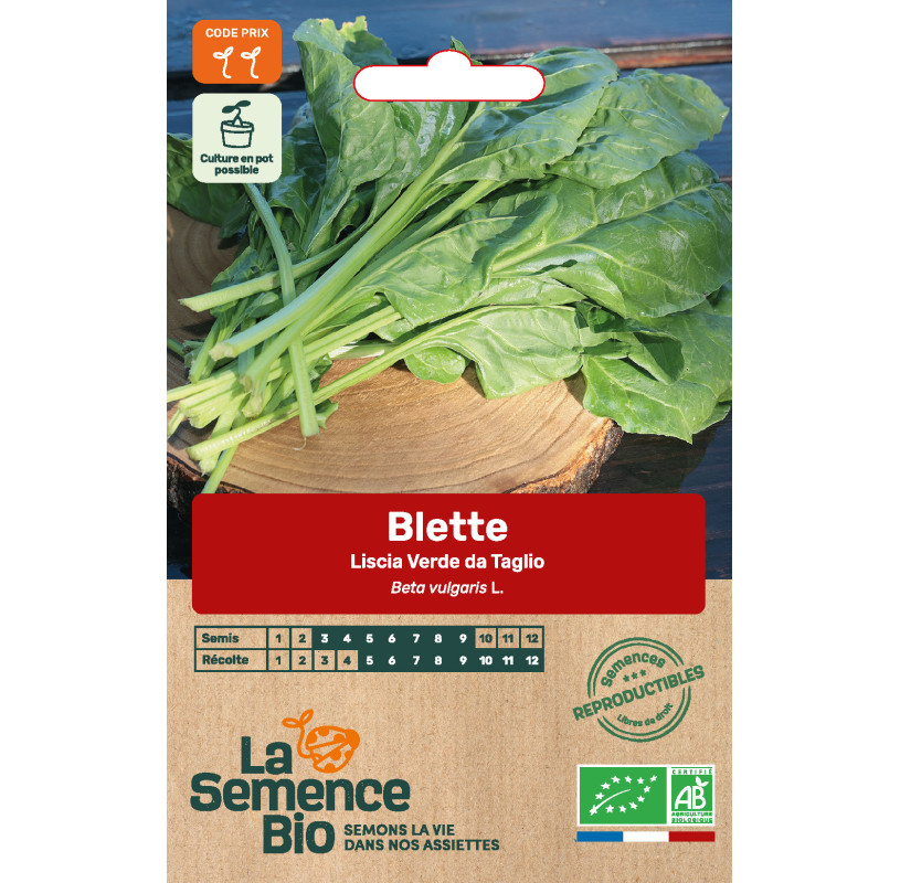 JUILLET - Graines Bio, Reproductibles